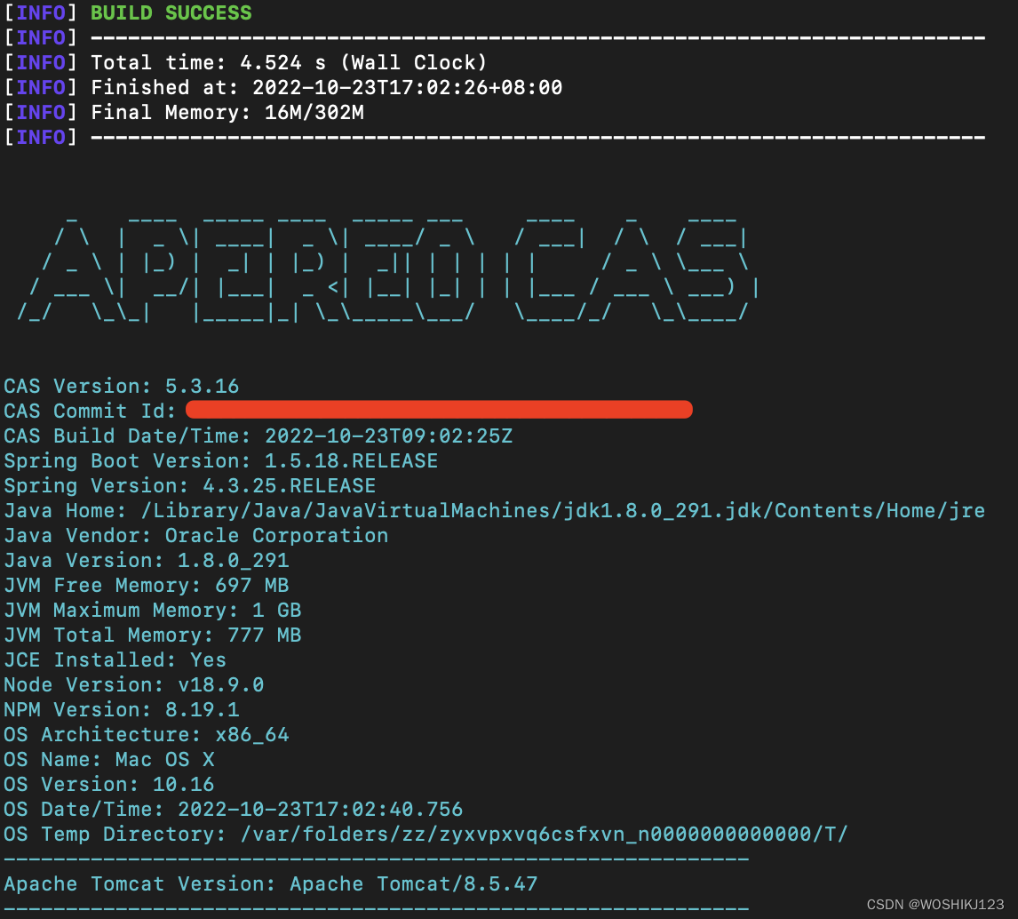 单点登录-服务端cas（mac）_cas源码github-CSDN博客