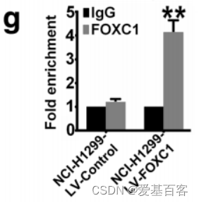 ChIP专题 | 如何进行ChIP-qPCR富集验证-CSDN博客
