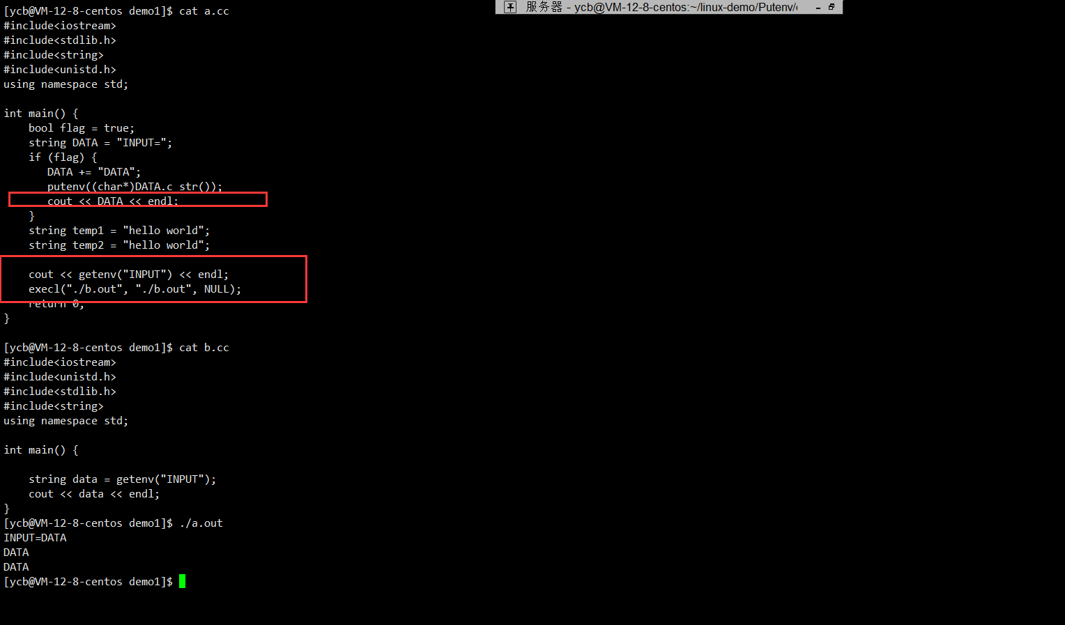 进程环境变量：putenv函数的不安全问题-CSDN博客