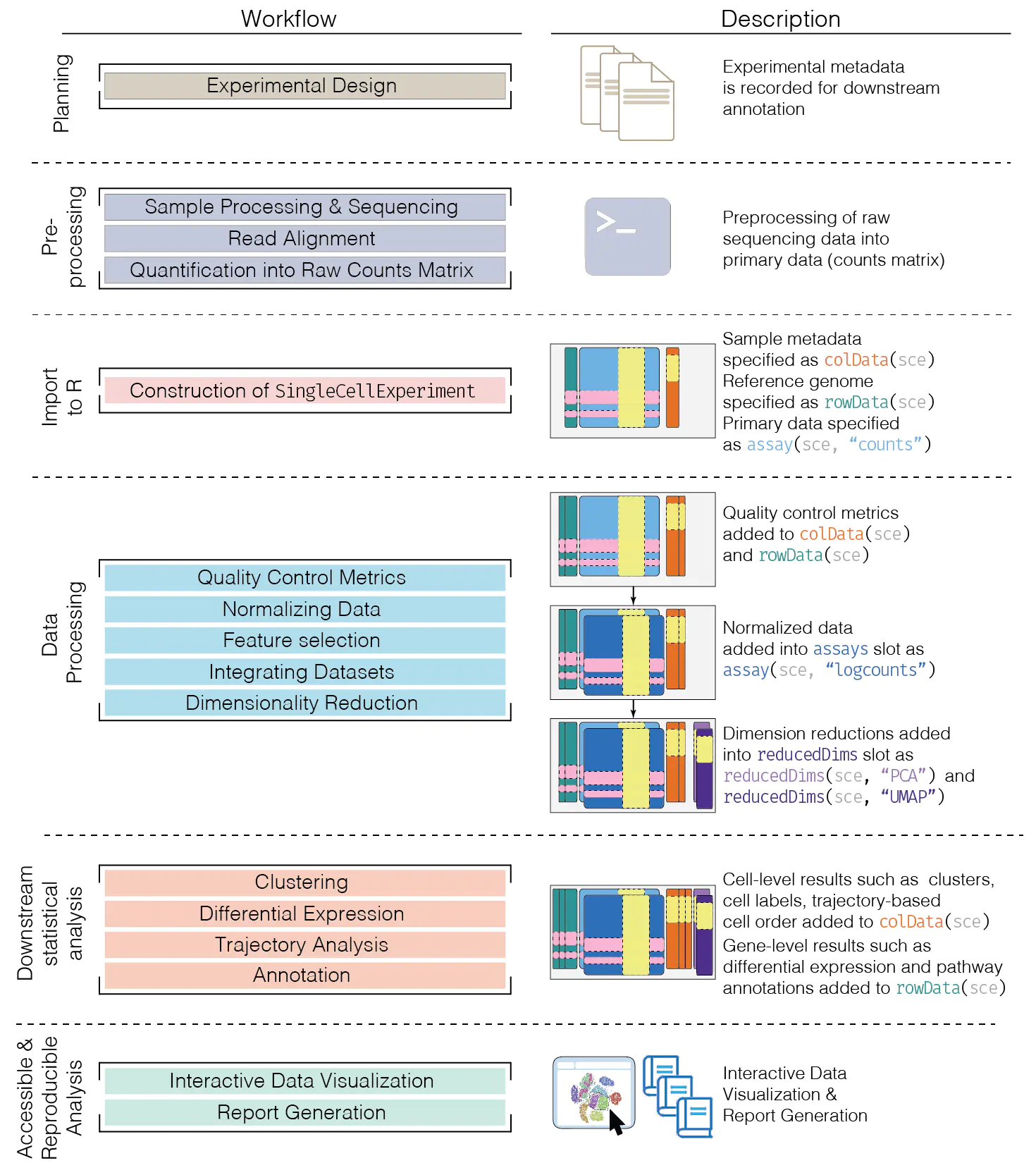single cell 数据分析流程及原理_geo+single cell+tab数据-CSDN博客