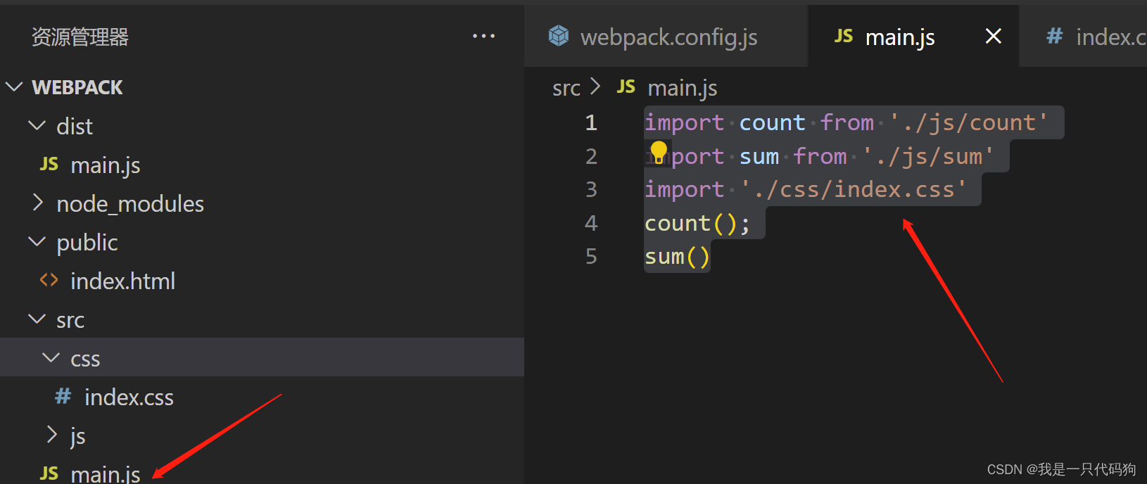 webpack5入门_webpack5 怎么运行dist文件-CSDN博客