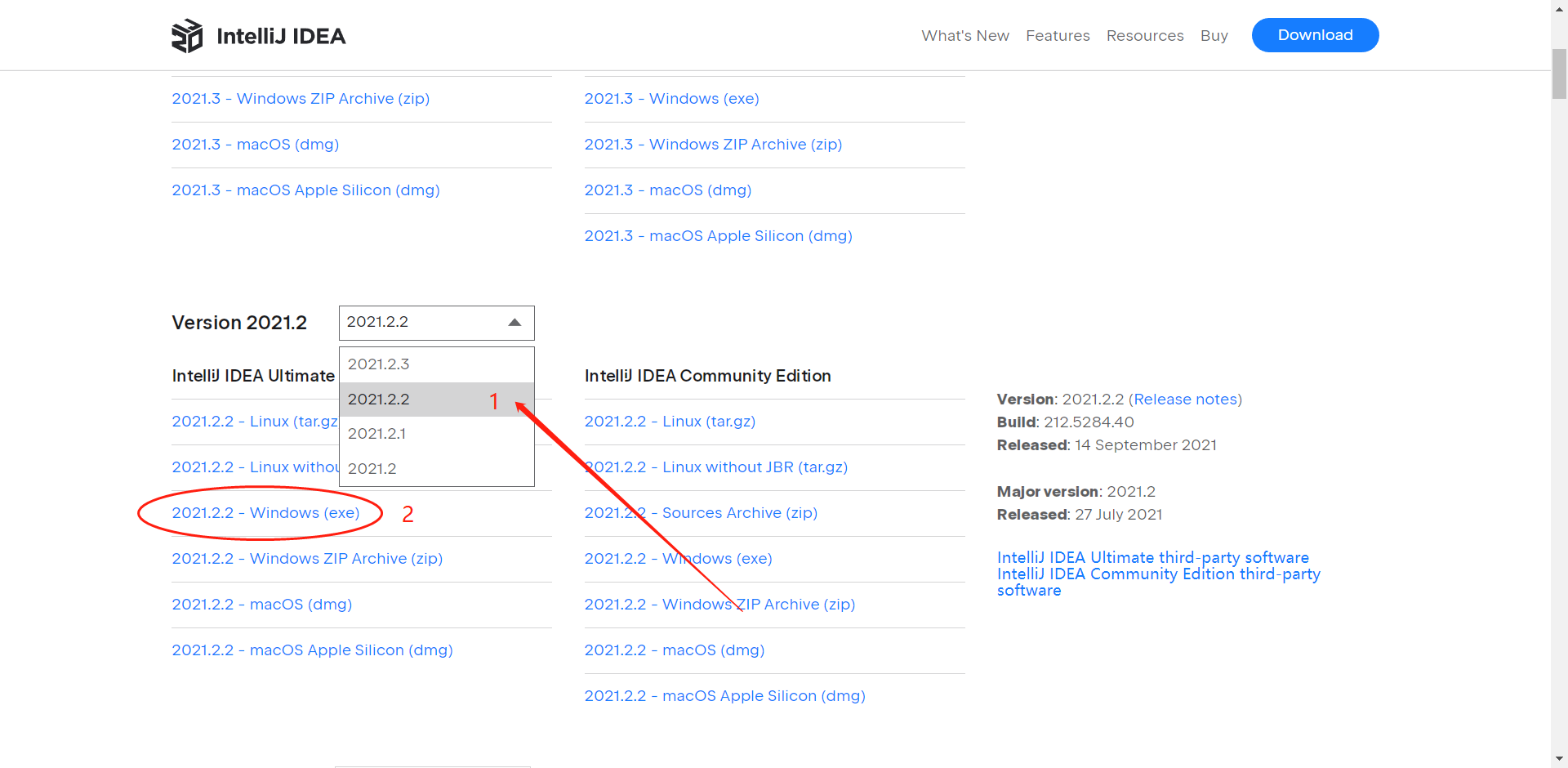 IDEA下载与安装(IDEA2021.2.2版本)_idea2021.2下载-CSDN博客