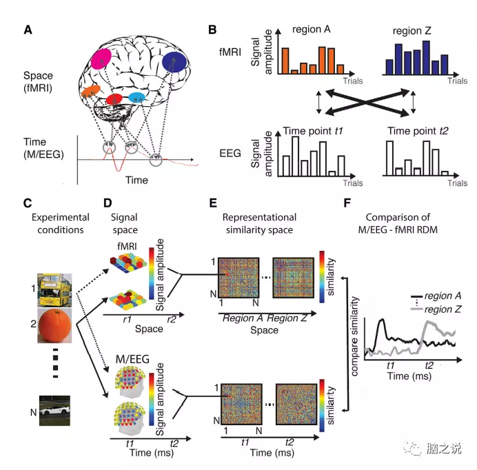 EEG/MEG-fMRI融合初识:在空间和时间上解析人脑反应-CSDN博客