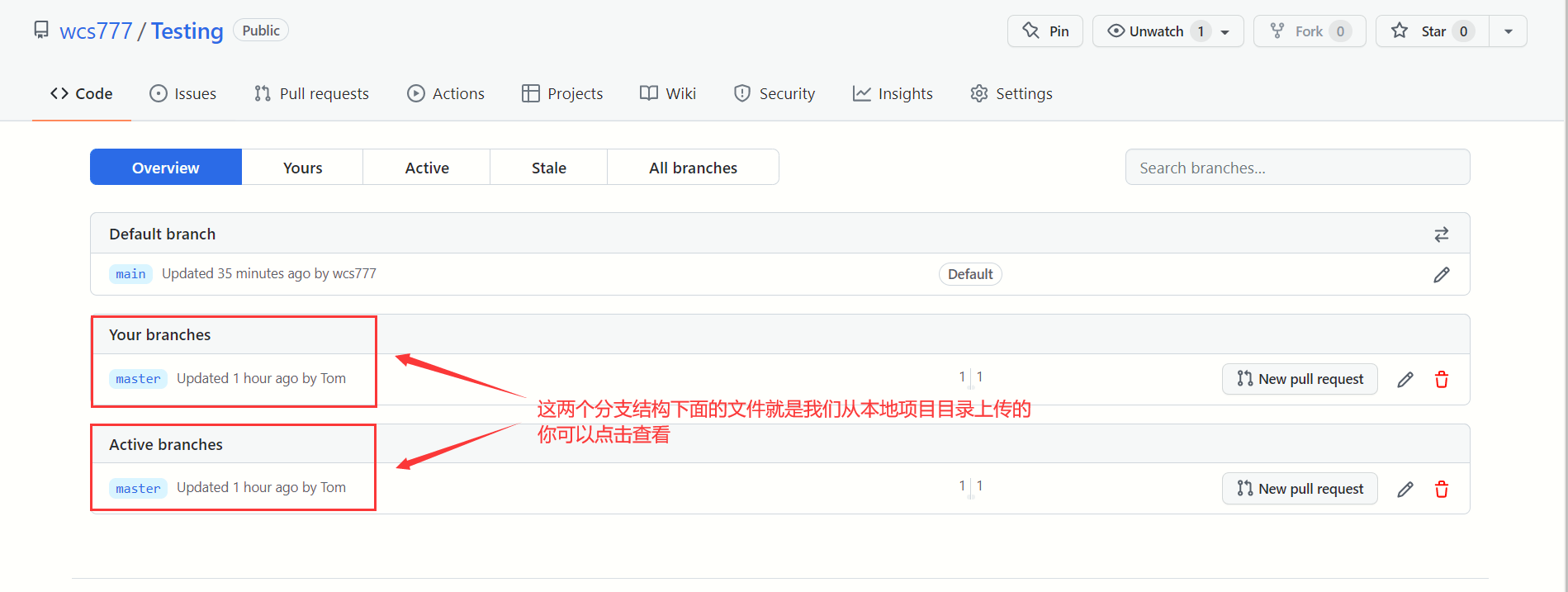 通过GoLand将本地项目上传到GitHub(详细步骤)_goland与github-CSDN博客