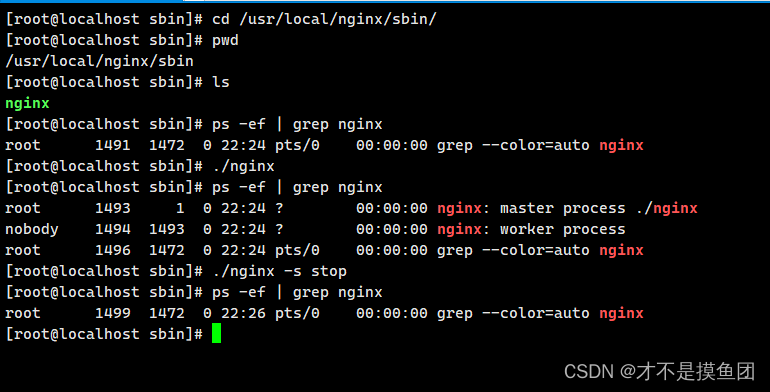 centos 7.9 tar包安装 nginx1.24.0_nginx-1.24.0.tar.gz-CSDN博客
