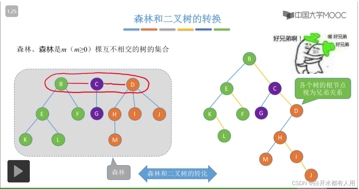 数据结构 树,森林数据结构怎么判断树还是森林代码 Csdn博客
