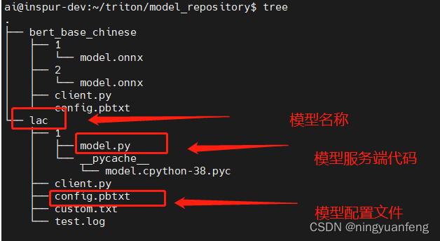 triton部署 python backend 输入字符串_triton python-CSDN博客