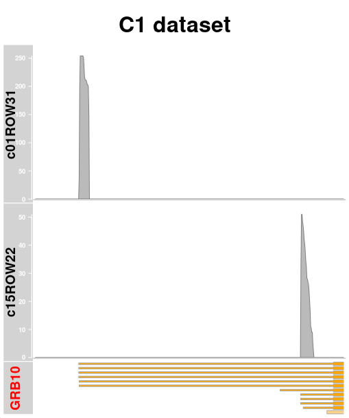 使用 Gviz 包由bam文件画比对峰图(AlignmentsTrack)-CSDN博客