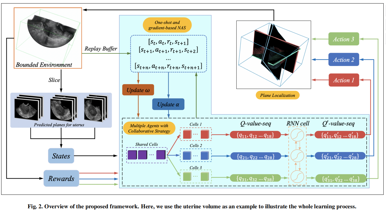 Searching Collaborative Agents for Multi-plane Localization in 3D ...