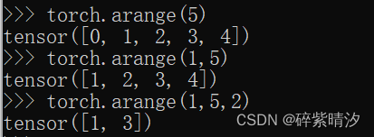torch.arange()-CSDN博客