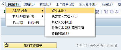 SAP 事务码的多语言_sap se63-CSDN博客