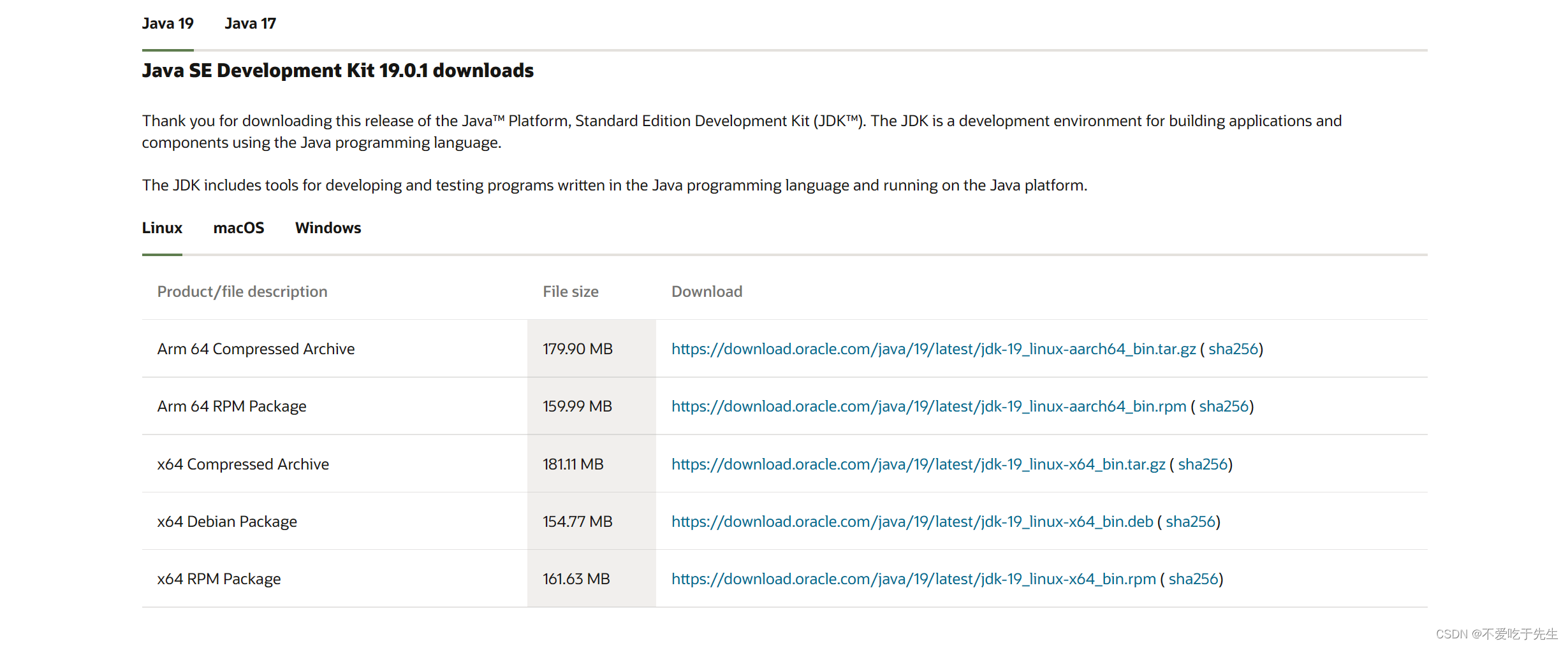 Java运行环境的搭建（以win11为例）_java win11-CSDN博客