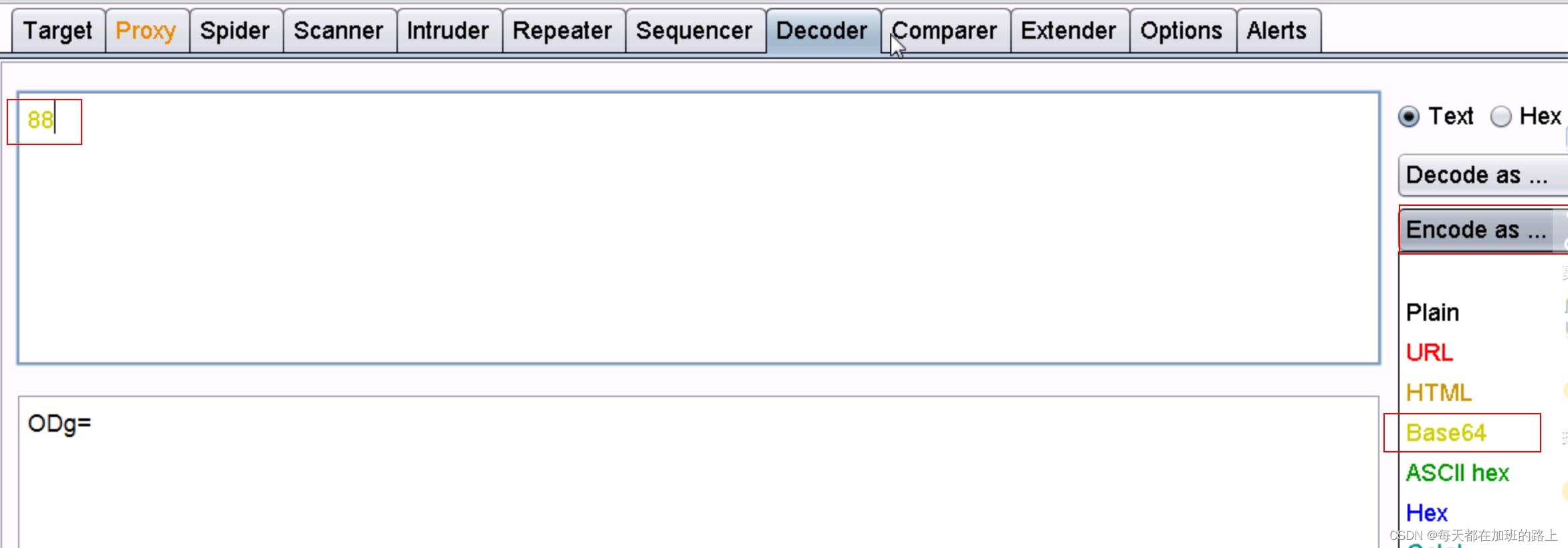 第四周（check your source code）_第四周 | check your source code-CSDN博客