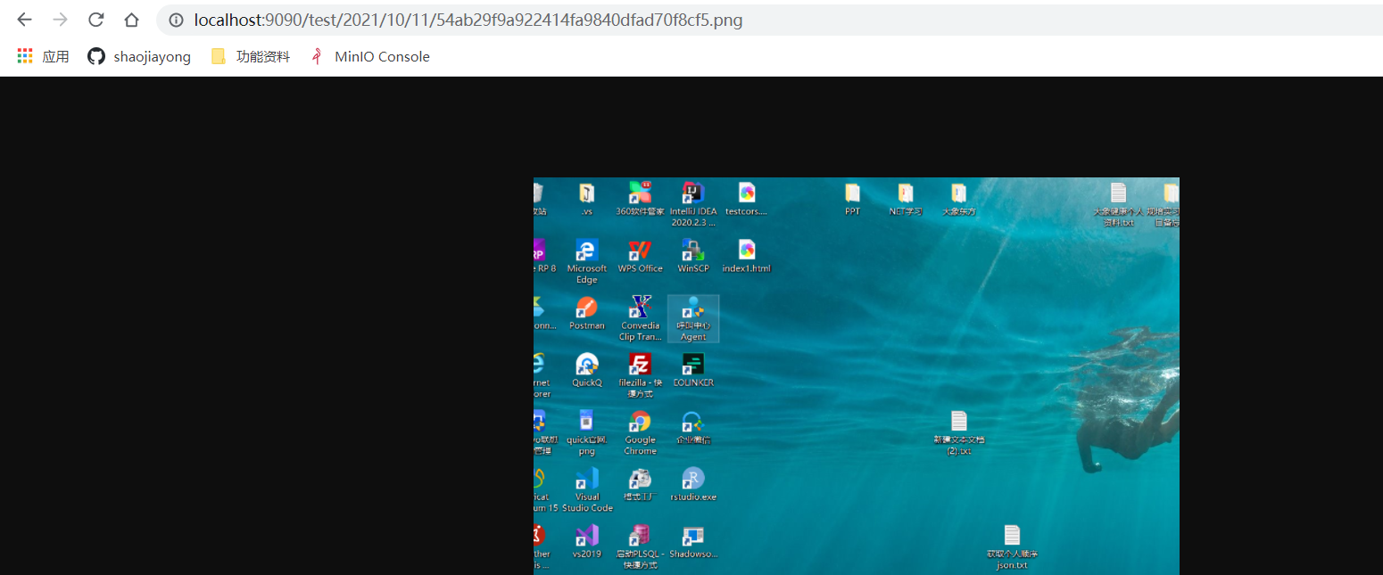 minio：实现简单上传跟下载（netcore版本）_minio.aspnetcore-CSDN博客