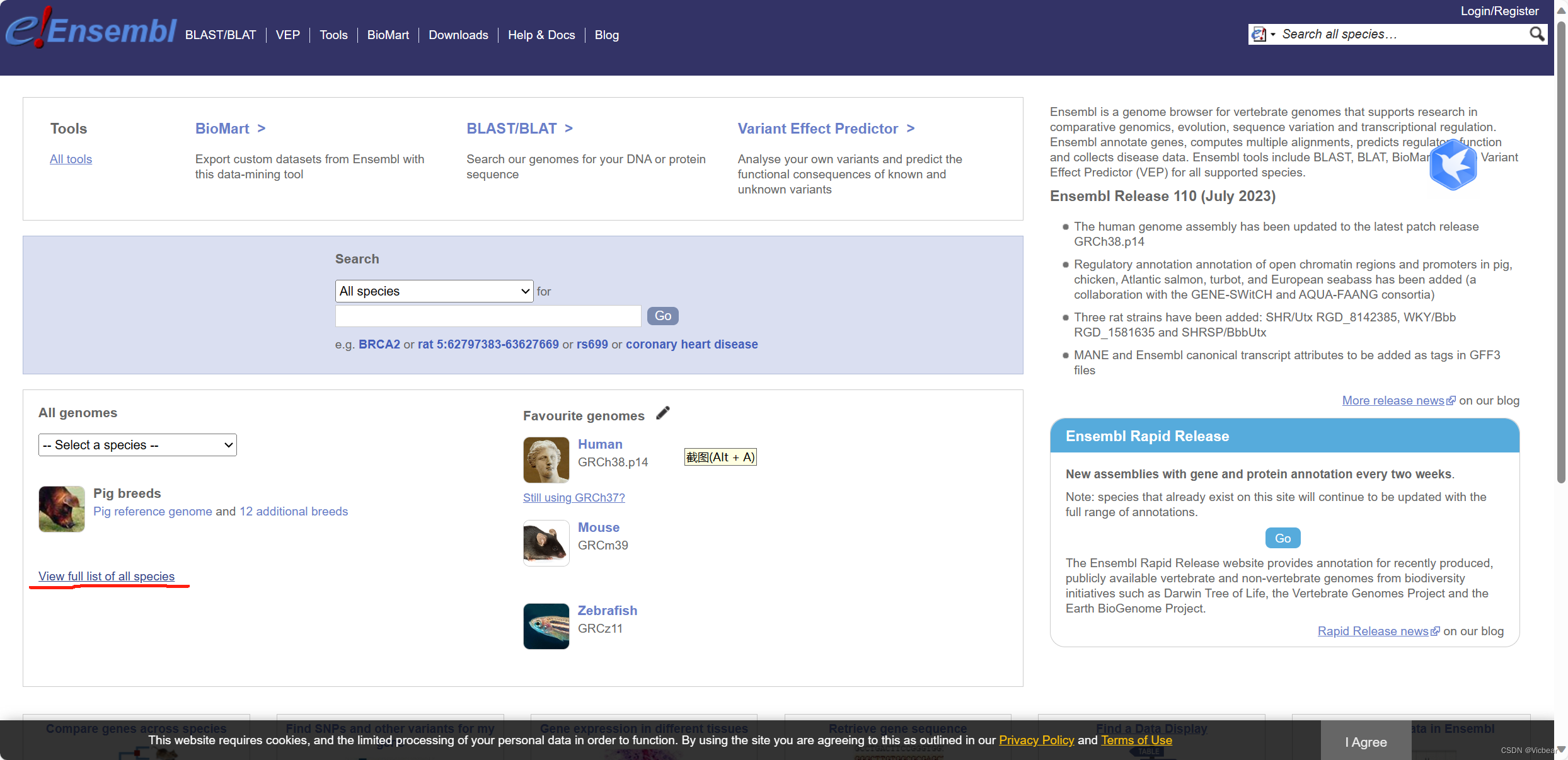 从Ensembl下载基因组-CSDN博客