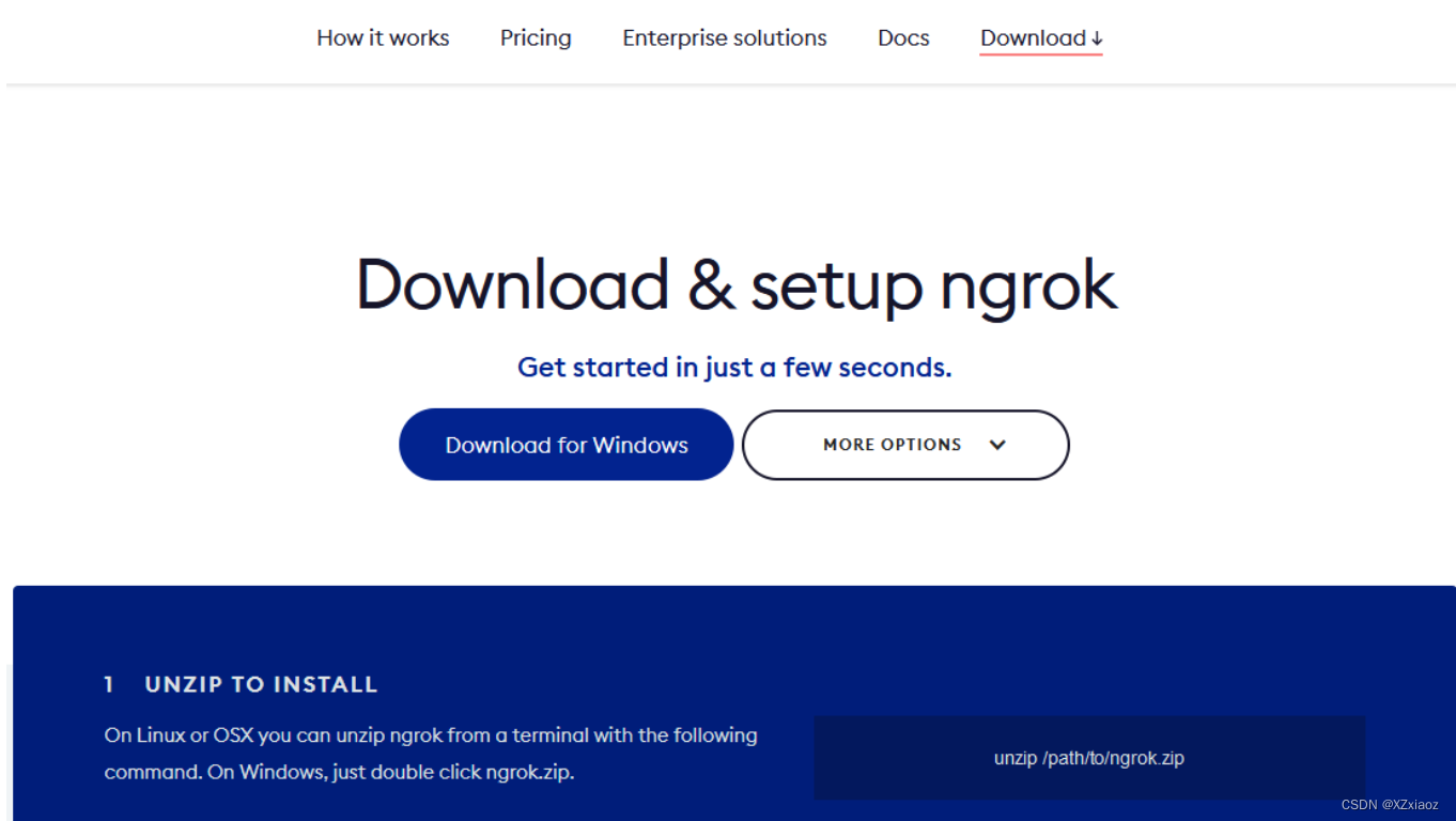 4.3内网穿透-Ngrok，实现外网访问地址，此处用于webhook地址_webhook可以是内网地址吗-CSDN博客