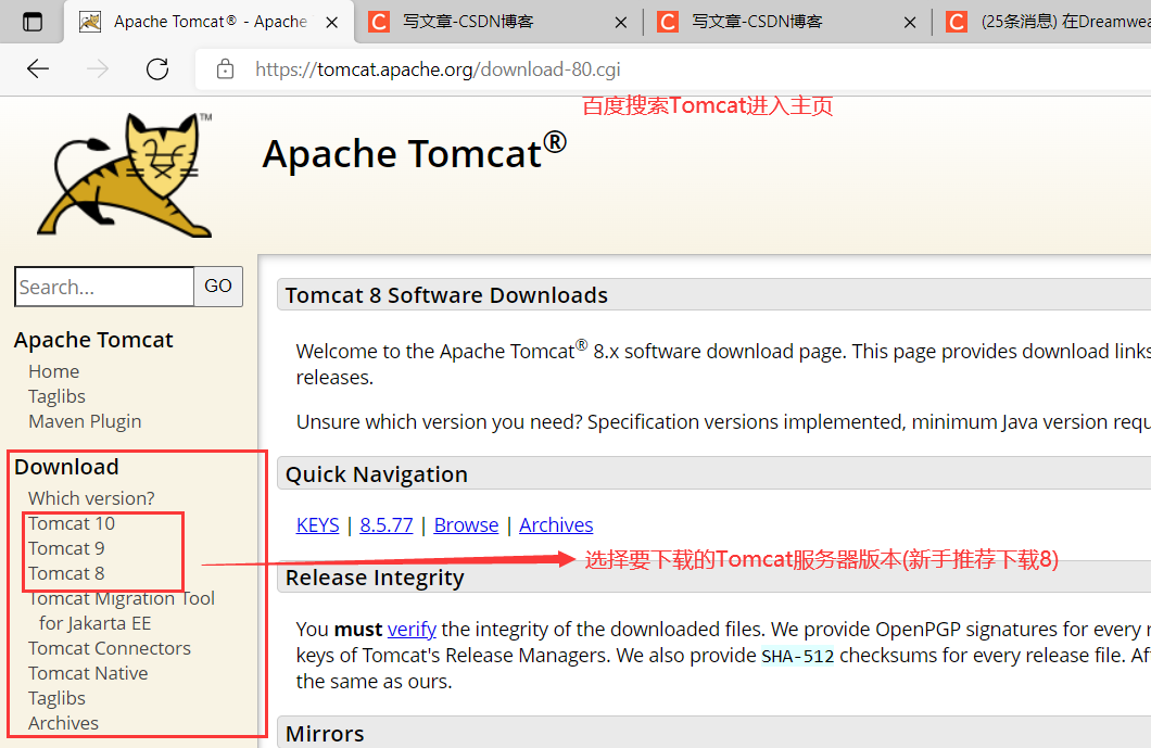 JavaWeb项目开发(安装jdk)和搭建Tomcat服务器_tomcat openjdk-CSDN博客