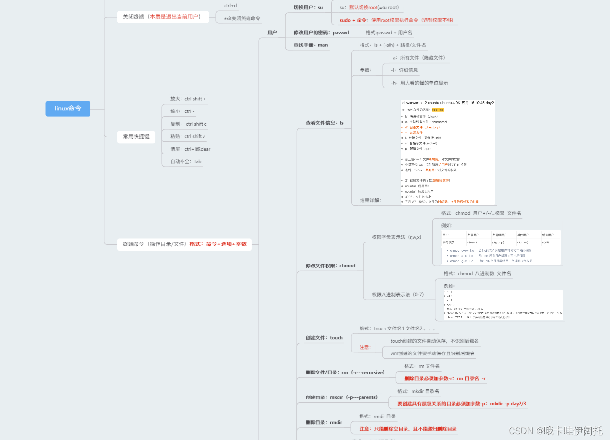 C语言思维导图：day1终端命令-CSDN博客