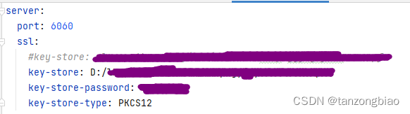 Bad Request This combination of host and port requires TLS. postman-CSDN博客