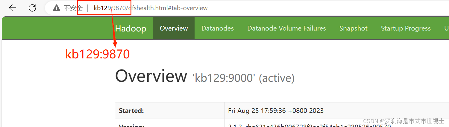 HADOOP(1)-CSDN博客