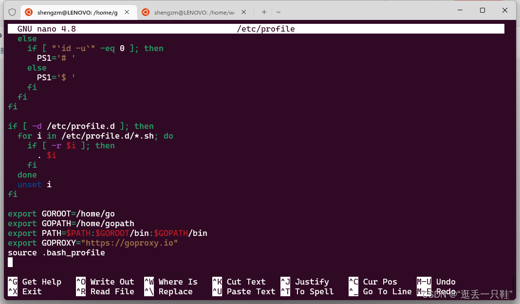 Go语言 | 01 WSL + VSCode环境搭建避坑指南_vscode wsl go-CSDN博客