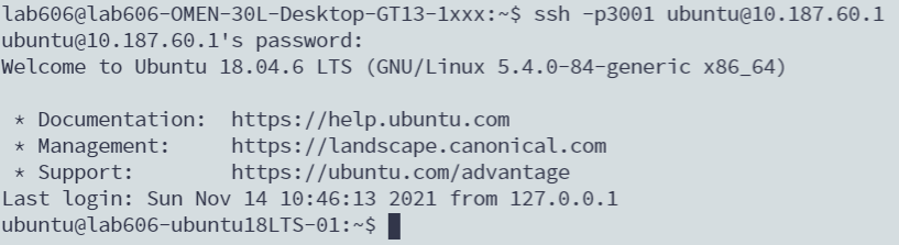 搭建基于LXD的实验室GPU服务器（Ubuntu+LXD+Frp）_lxd frp-CSDN博客