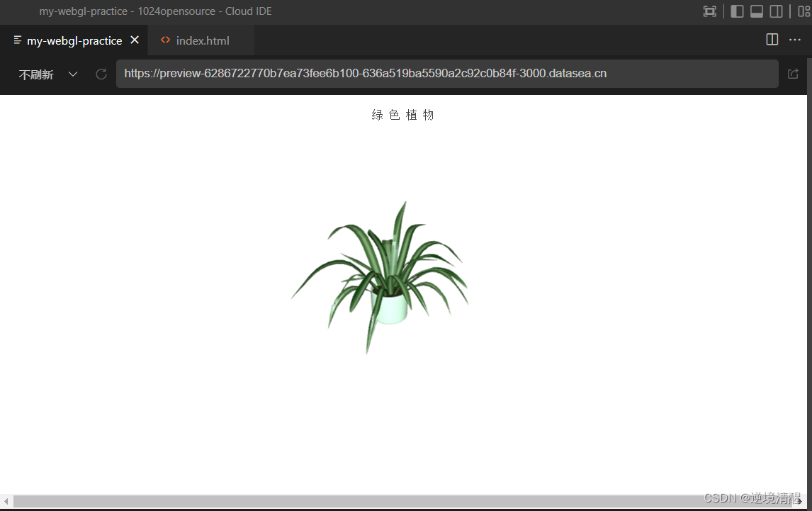 【CSDN云IDE】个人使用体验和建议（含超详细操作教程）（python、webGL方向)-CSDN博客