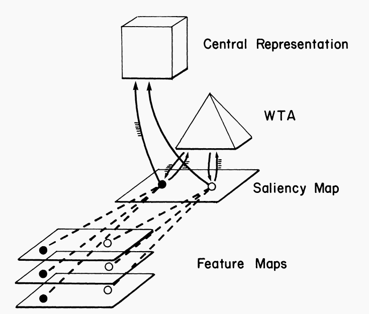 选择性注意中的“salience map”的作用是什么？_saliency map-CSDN博客