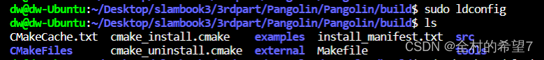 terminate called after throwing an instance of ‘std::runtime_error‘ what(): Pangolin X11: Failed ...