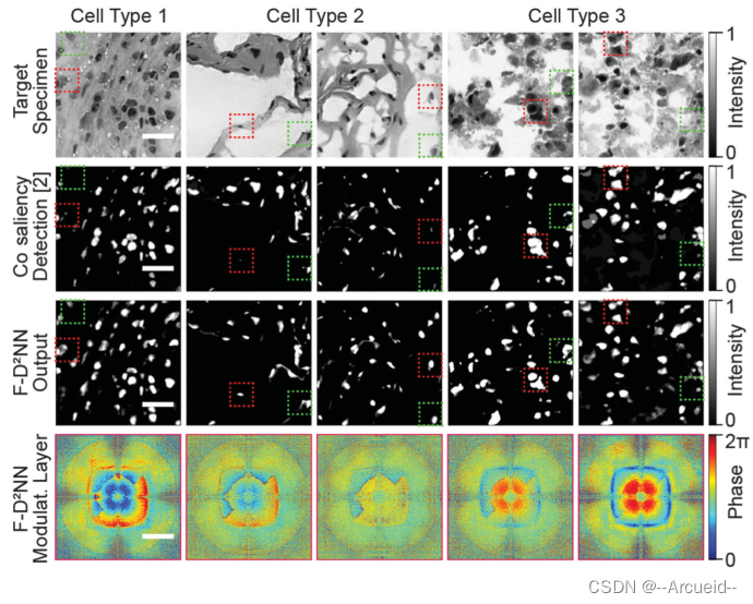 个人学习记录：Fourier-space Diffractive Deep Neural Network-CSDN博客