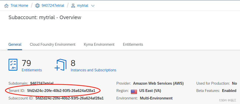 SAP Cloud Connector 美国BTP trial配置-CSDN博客