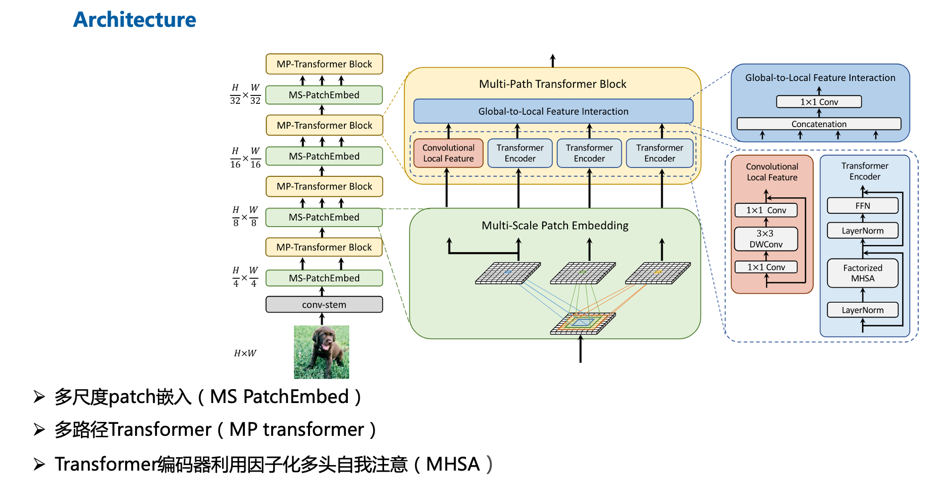 论文阅读：MPViT : Multi-Path Vision Transformer for Dense Prediction_mvit 论文 ...