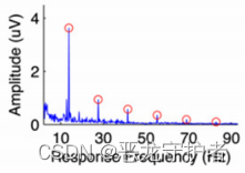 基于深度学习的稳态视觉诱发电位（SSVEP）解析——连载1_稳态视觉诱发电位的分析-CSDN博客