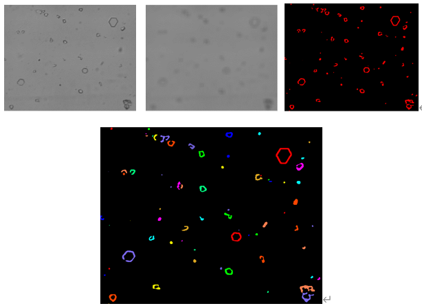 Halcon之Blob分析_halcon blob分析-CSDN博客