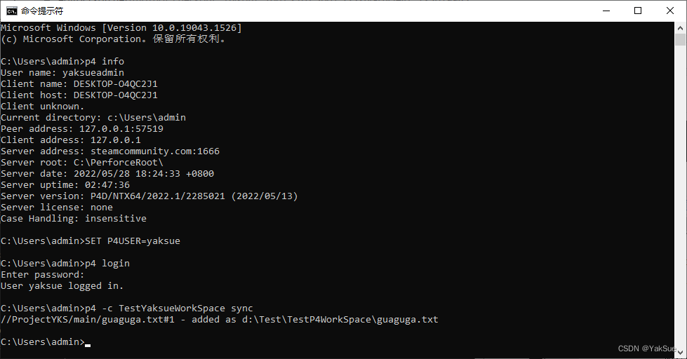 学习使用命令行执行P4操作_p4 client-CSDN博客