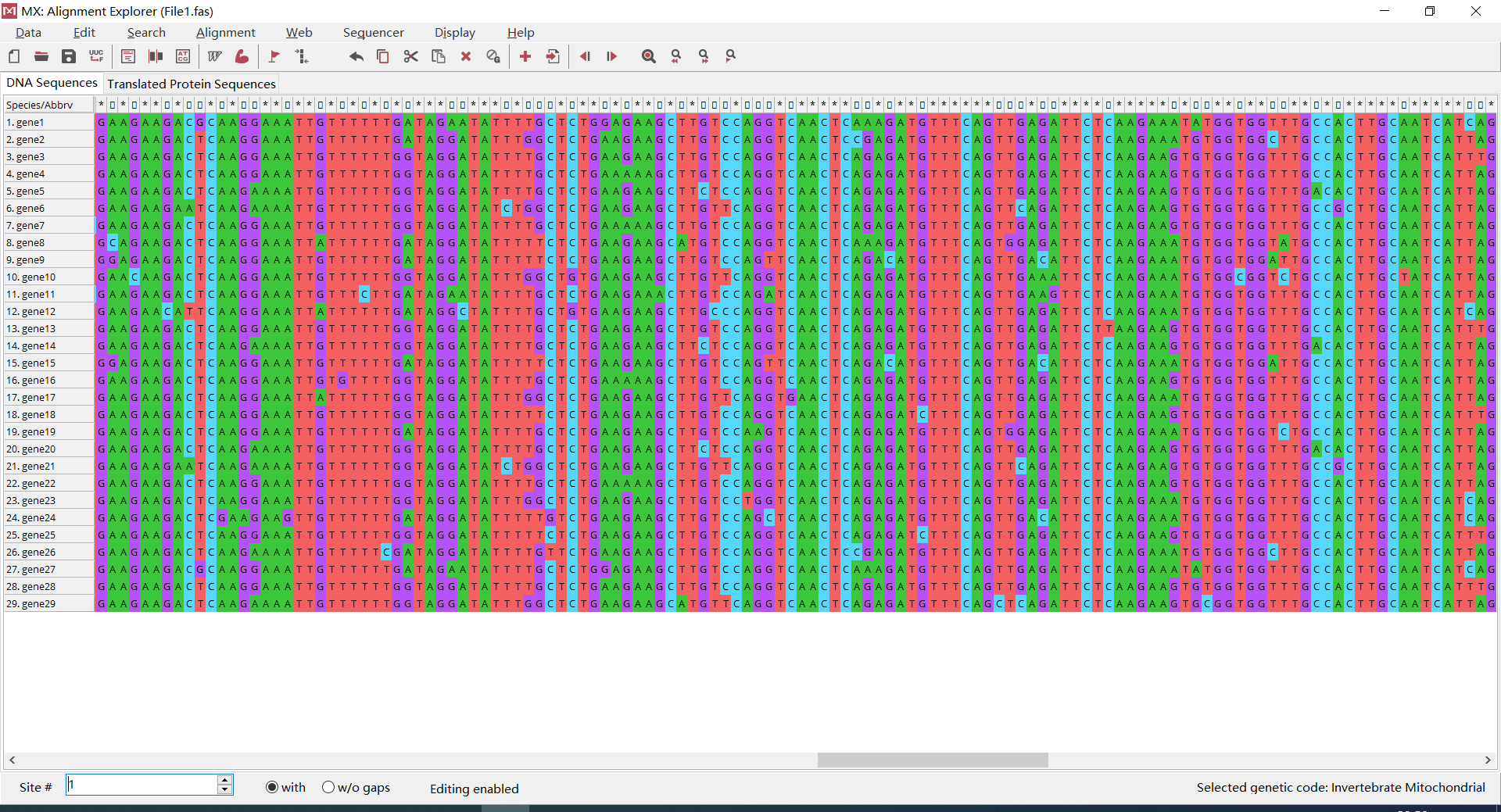利用MEGA做序列比对-CSDN博客