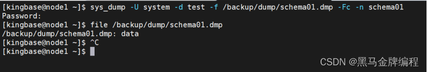人大金仓数据库逻辑备份和还原_金仓数据库还原数据库-CSDN博客