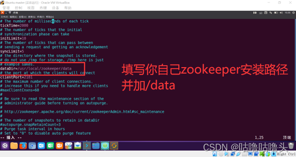zookeeper下载安装 和 在Ubuntu虚拟机集群搭建-CSDN博客