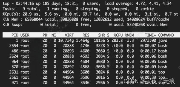 java 线上java应用CPU过高排查_skywalking内存占用-CSDN博客
