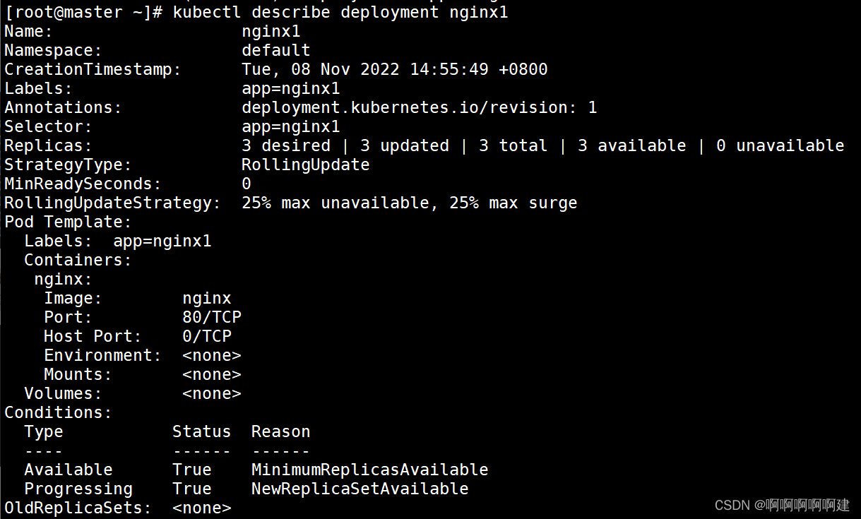 k8s管理工具kubectl详解（二）_kubectl revision-CSDN博客