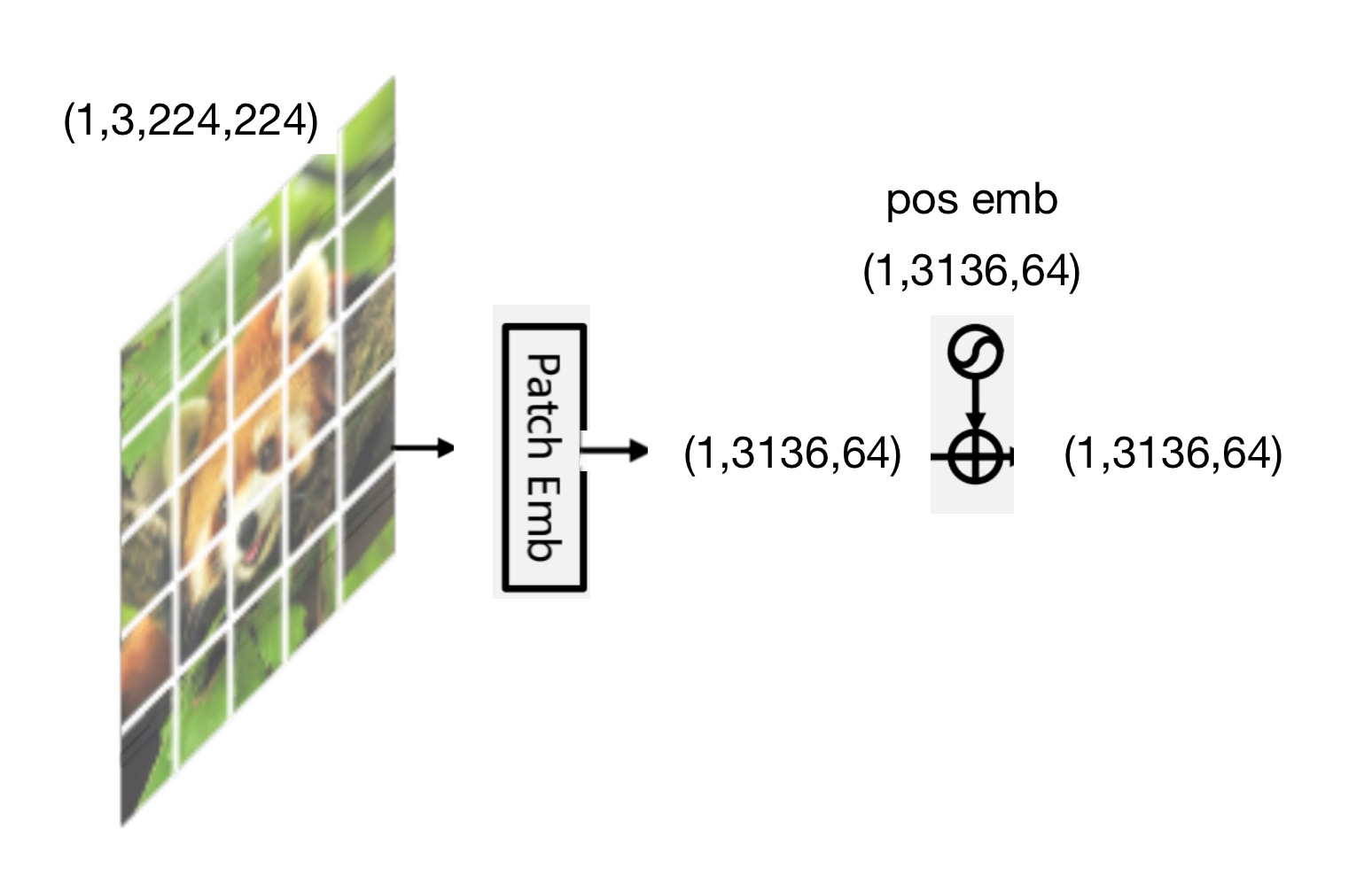 Transformer主干网络——PVT_V1保姆级解析_pvtv1-CSDN博客