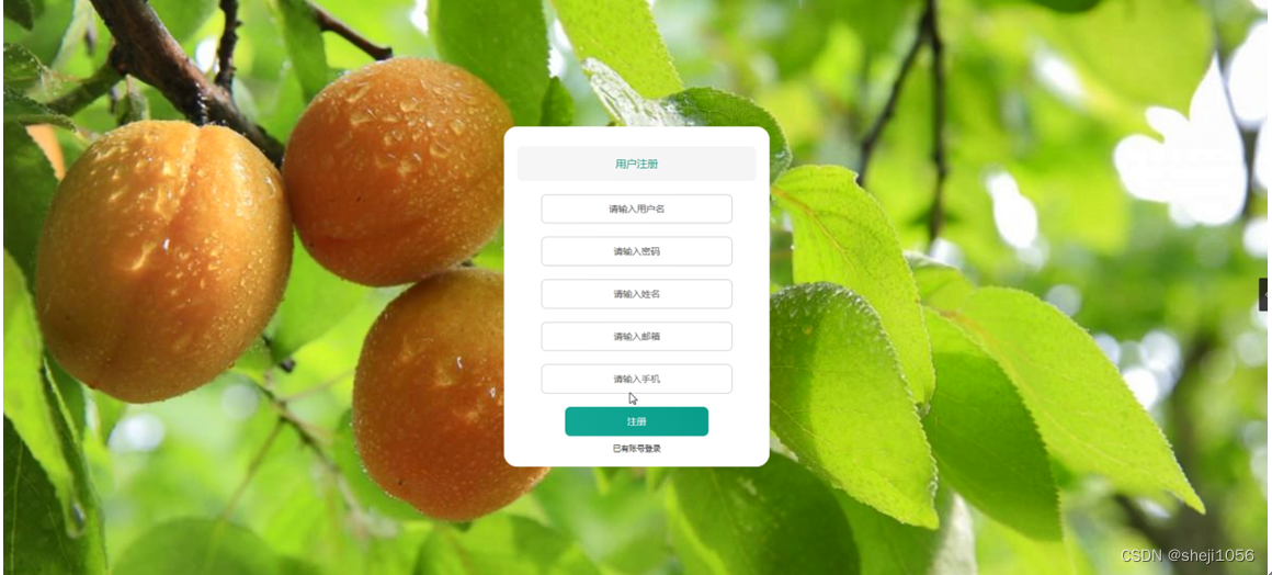 附源码 Nodejs计算机毕业设计基于智慧农业的水果销售系统express程序lw水果销售系统e R流程图 Csdn博客