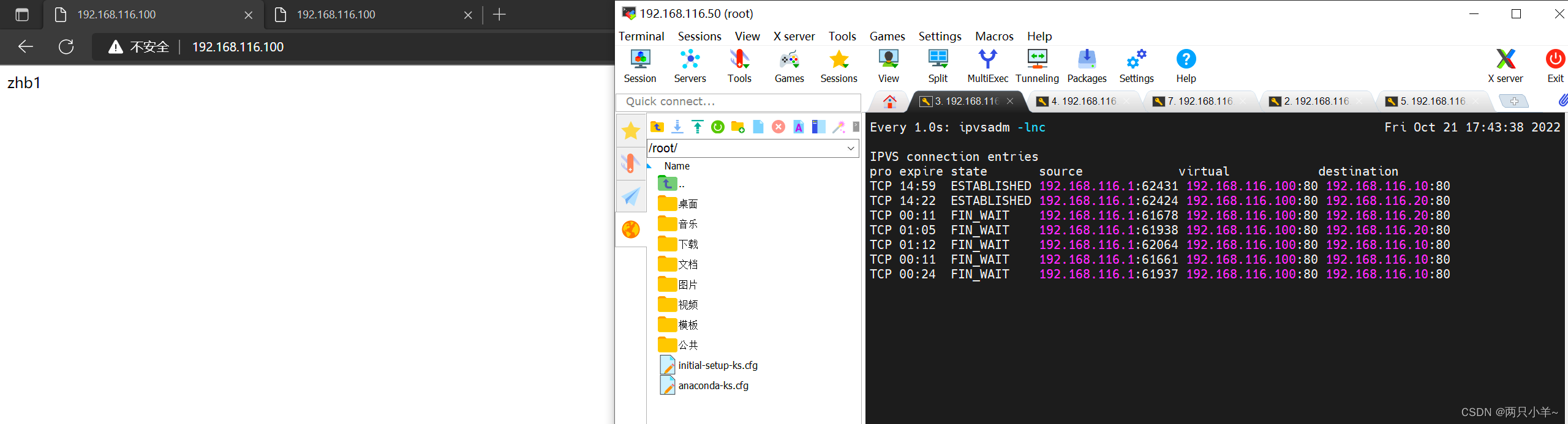 LVS+Keepalived+nfs 集群_lvs nfs-CSDN博客