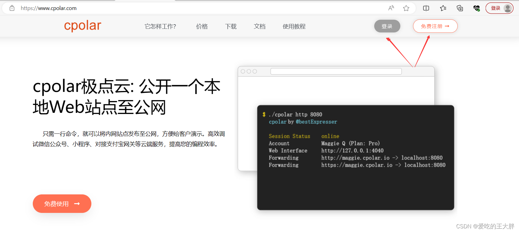 Linux中使用cpolar内网穿透_linux coplar启动-CSDN博客