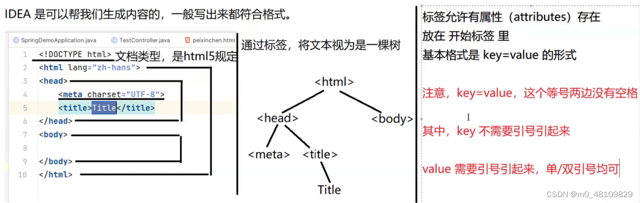 了解HTML的使用-CSDN博客