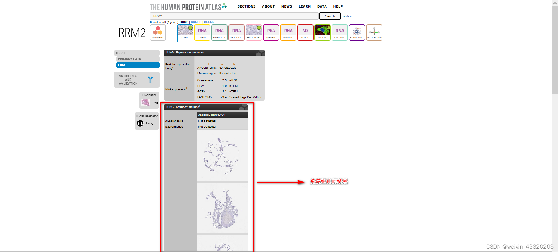 HPA数据库的使用（1）-CSDN博客