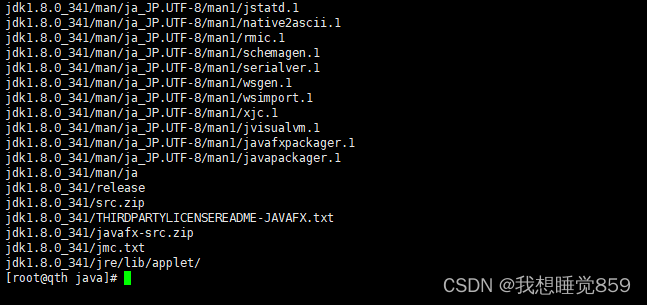 Linux安装jdk1 8 Jdk 1 8 Linux Arm64 Tar Csdn博客