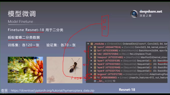 [二十六]深度学习Pytorch-迁移学习、模型微调Finetune_deep learning finetune-CSDN博客