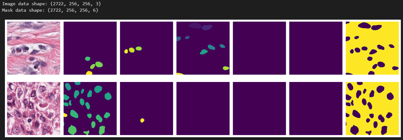 【python\numpy】用python处理适用于存储 [细胞分割PanNuke数据集] 的npy文件 || 代码合集-CSDN博客